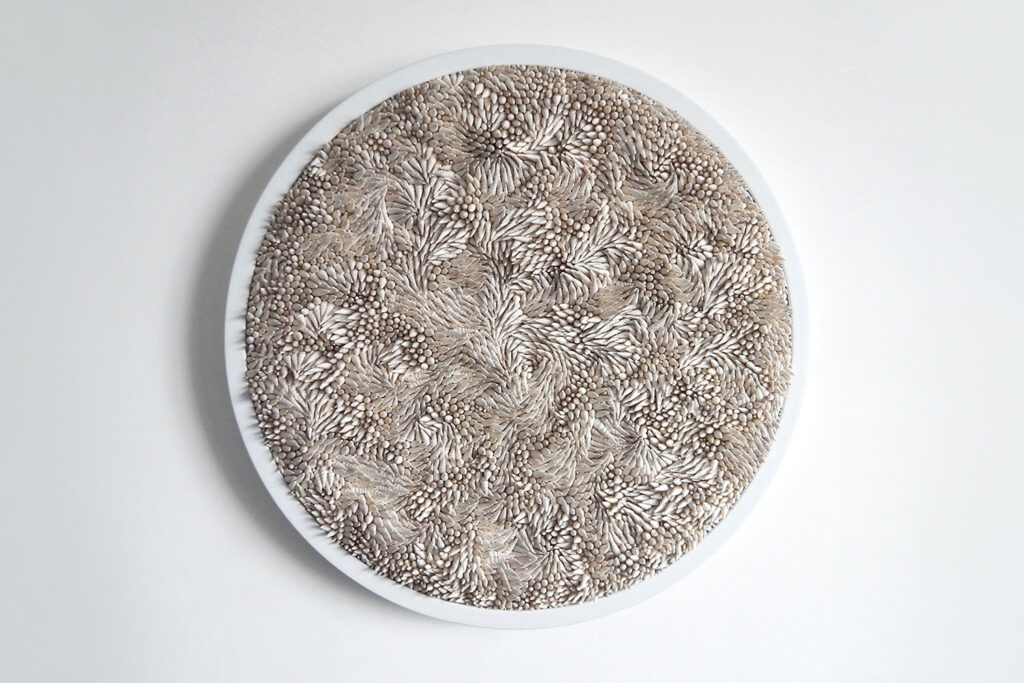 Turritella Shell Archives - Rowan Mersh