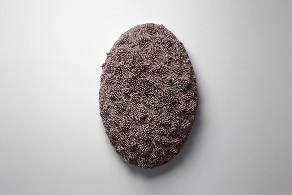 Sea Urchin Spines Archives - Rowan Mersh