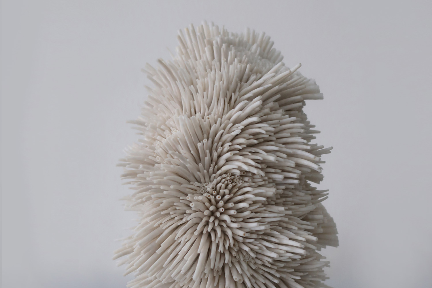 Dentalium Shell Archives - Rowan Mersh