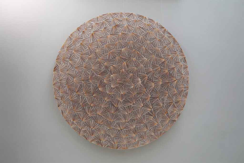 Turritella Shell Archives - Rowan Mersh