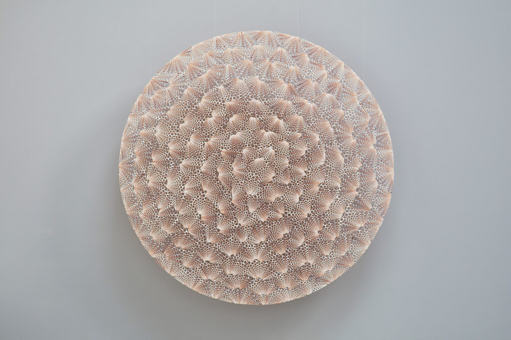 Turritella Shell Archives - Rowan Mersh